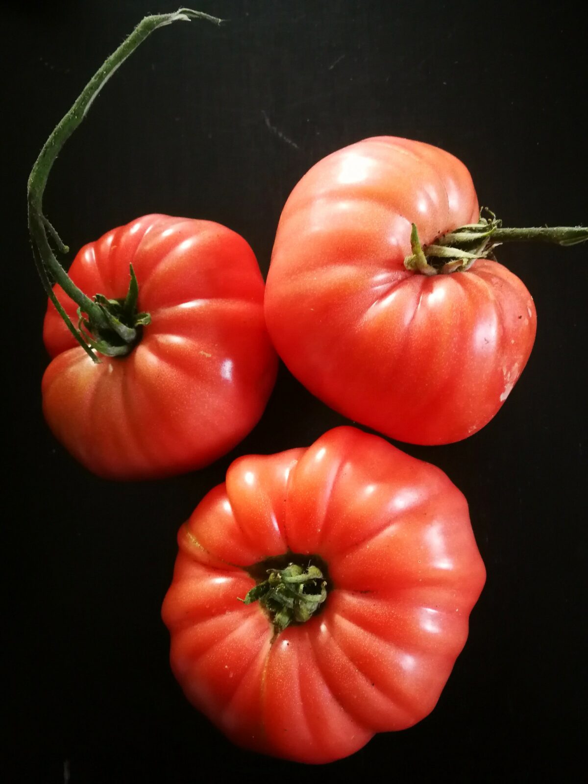 Fantastic-Tasting Pink Heirloom Tomatoes - Fine Gardening