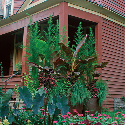 Four Ways to Use Container Plantings for More Privacy - Fine Gardening