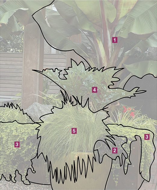 Four Ways to Use Container Plantings for More Privacy - Fine Gardening