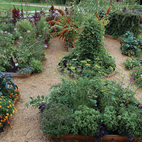 4 Easy, Pretty, and Edible Planting Designs - Fine Gardening