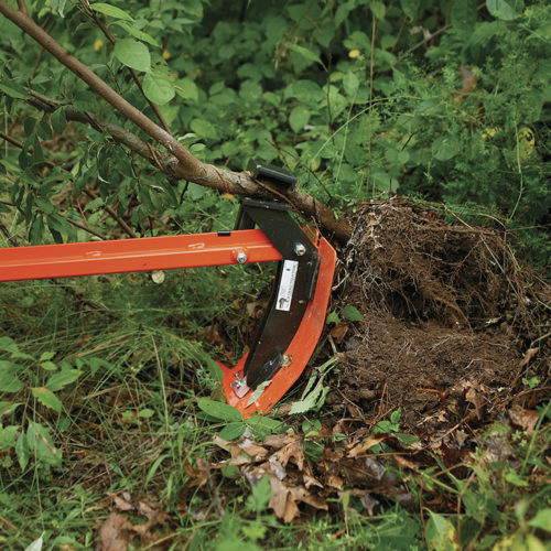 Rip It Out! - Fine Gardening