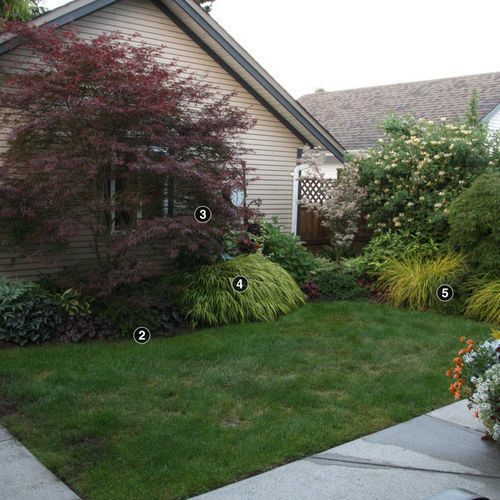 Garden Makeover: From Blank Slate to Cozy Space - Fine Gardening