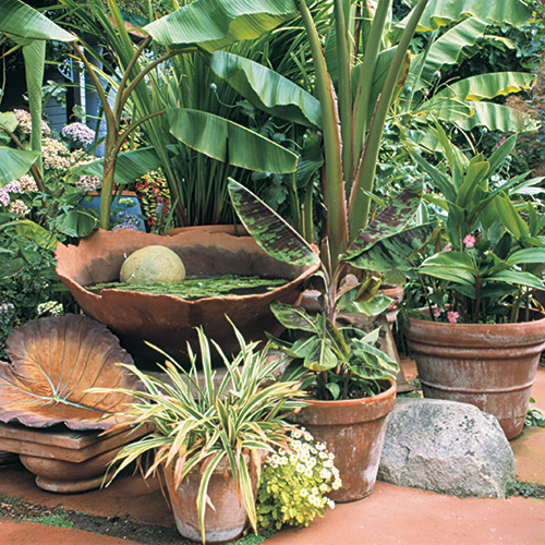 Simple Ways to Add Water to the Garden - Fine Gardening