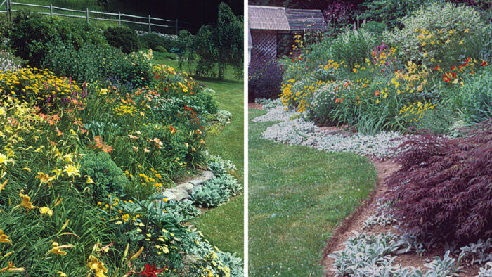 Design a Border With Strong Plant Shapes - Fine Gardening
