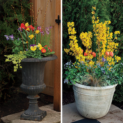 Spring Containers for Every Style - Fine Gardening