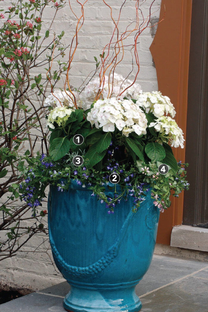 Spring Containers for Every Style - Fine Gardening
