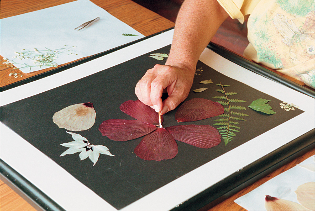 Two Ways to Press Flowers for Garden Art - Fine Gardening