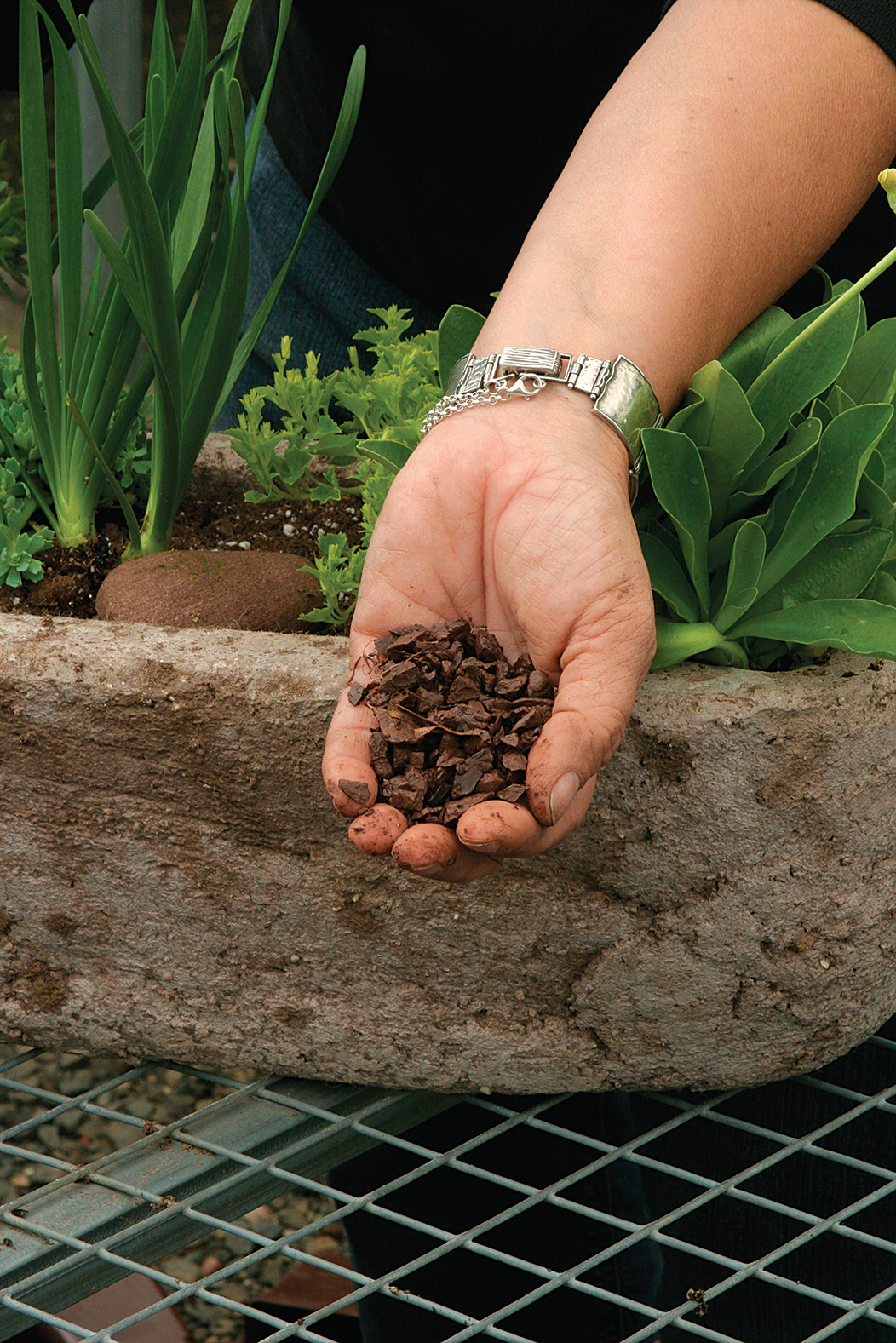 Create an Alpine Trough - Fine Gardening