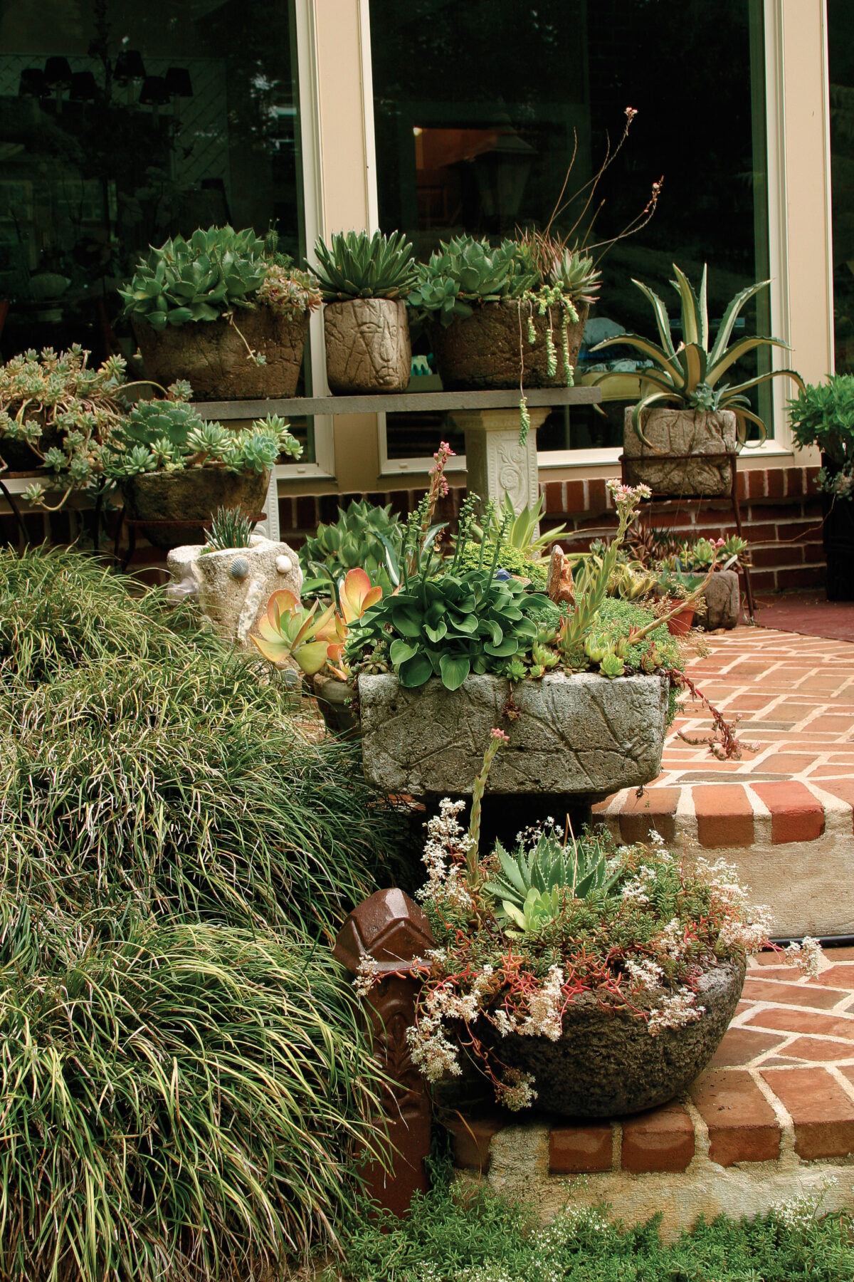 Create an Alpine Trough - Fine Gardening