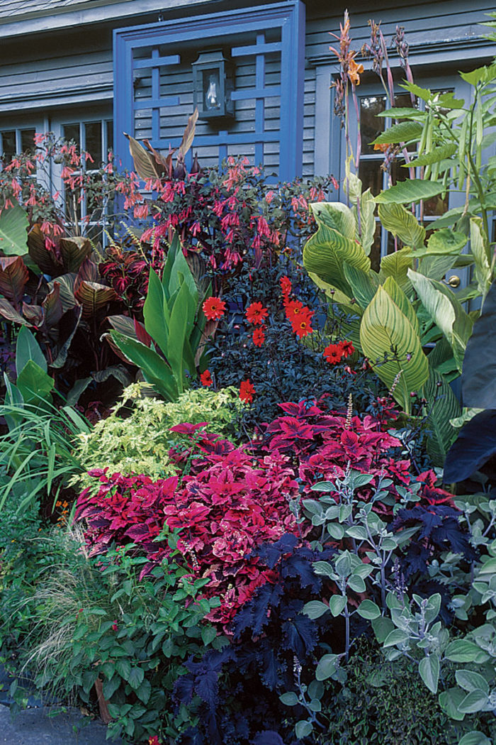 How to Stage a Container Plant Display - Fine Gardening