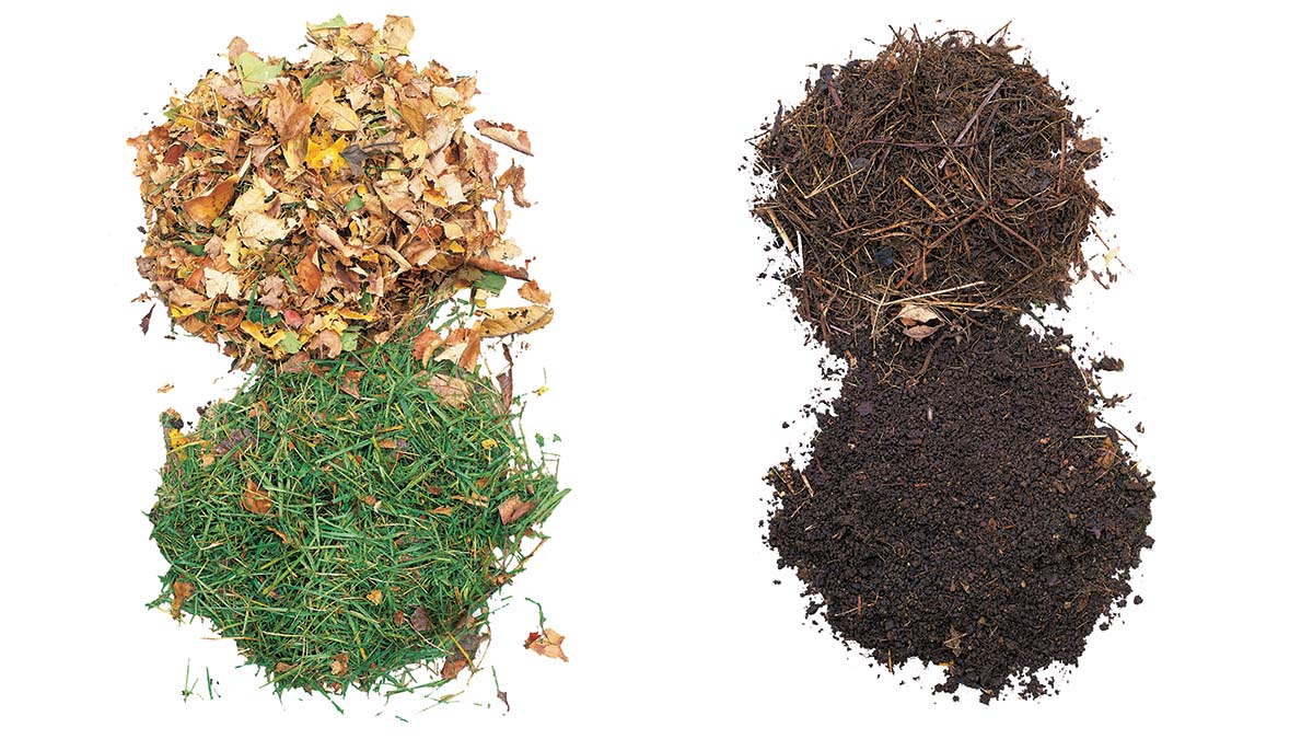 Compost Q&A for Beginners - Fine Gardening