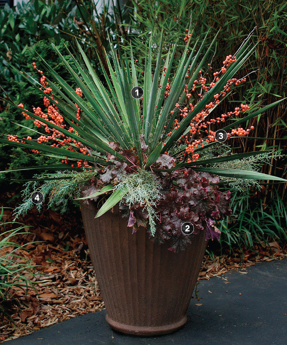 The Best Winter Containers From Outdoor Planters to Window Boxes - Fine ...