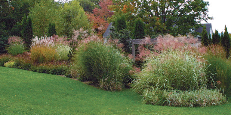 Designing With Grasses - Fine Gardening