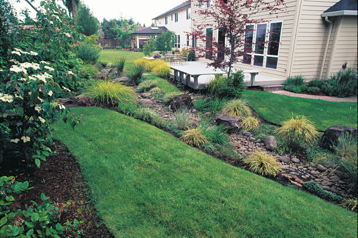 Transforming a Barren Backyard - Fine Gardening