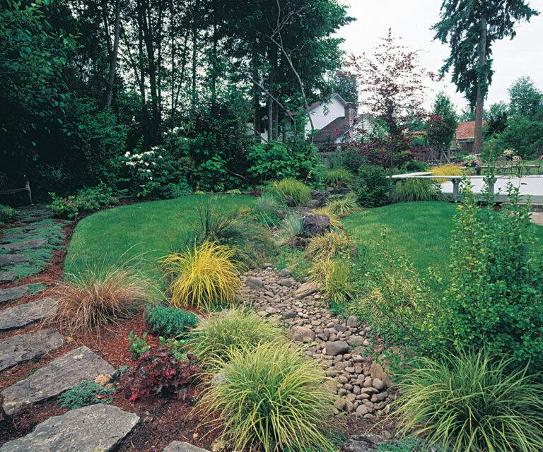 Transforming a Barren Backyard - Fine Gardening