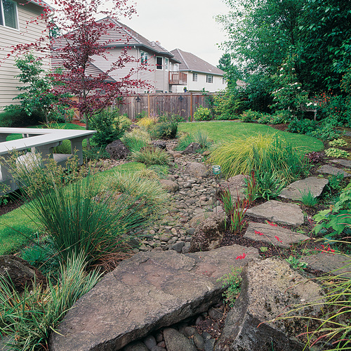 Transforming a Barren Backyard - Fine Gardening