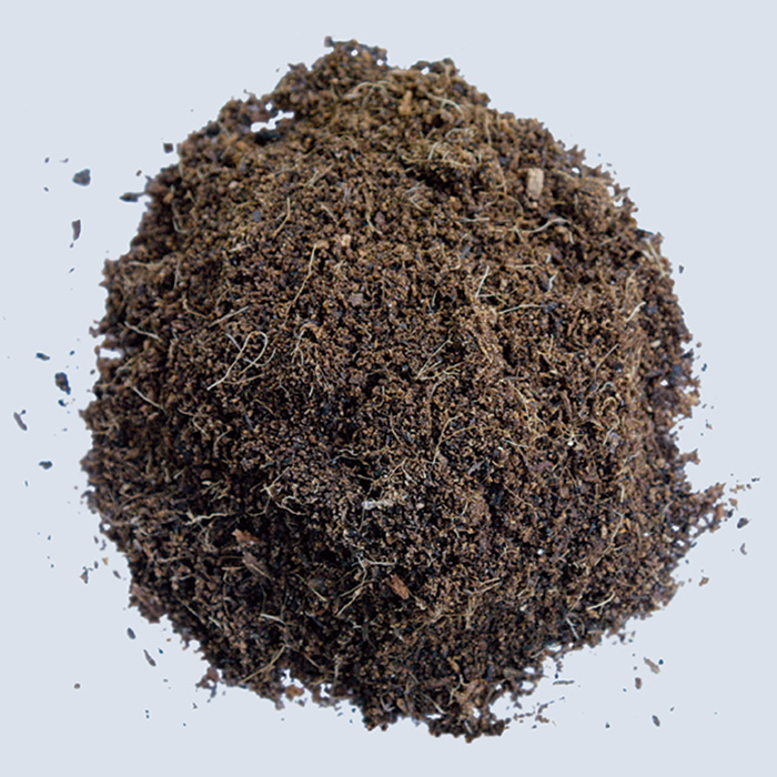 Choosing the Right Soilless Potting Mix - Fine Gardening