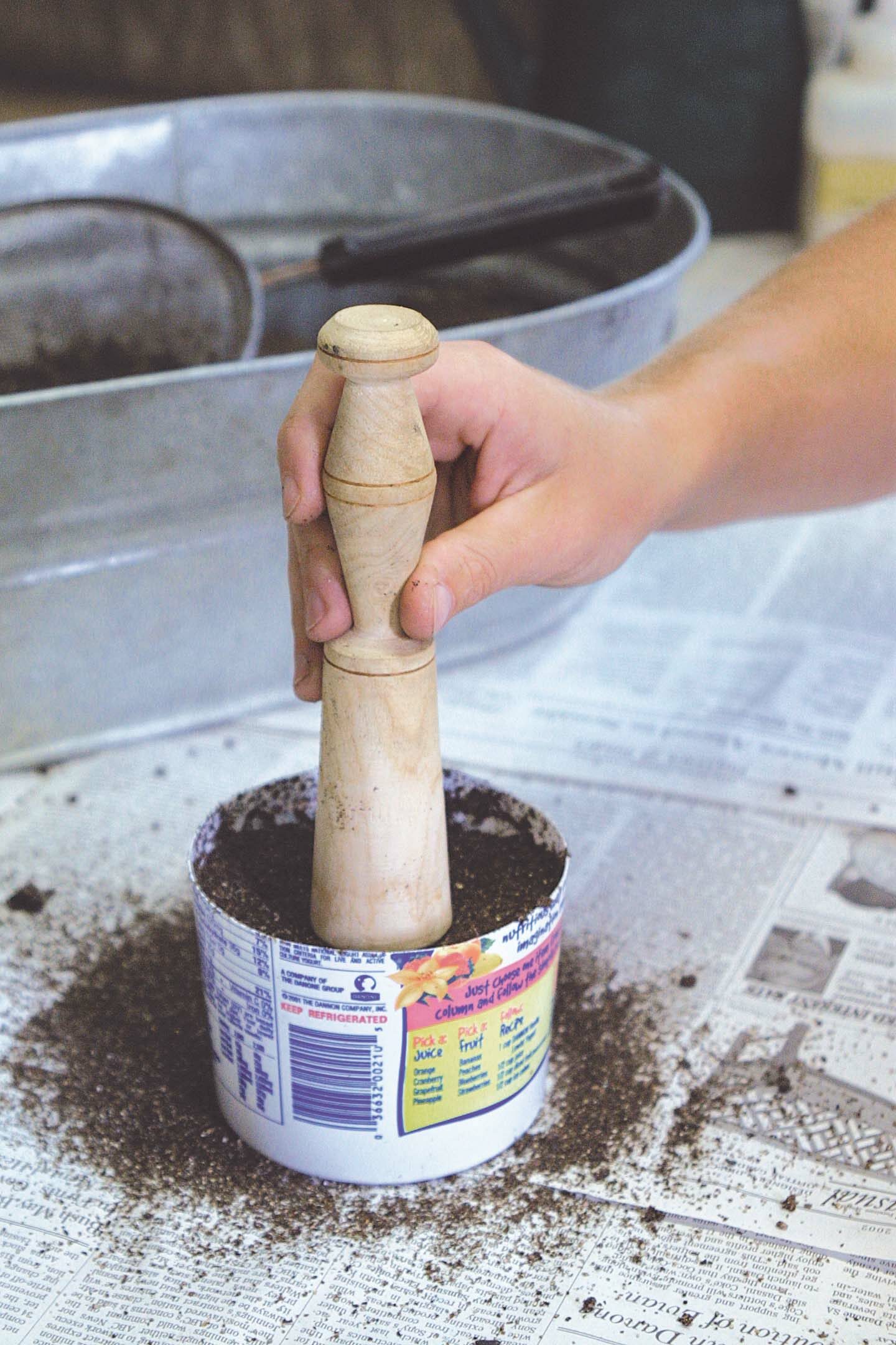 10 Seed-Starting Tips - Fine Gardening