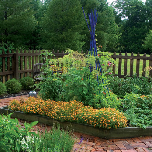 Stylish Raised Bed Ideas - Fine Gardening