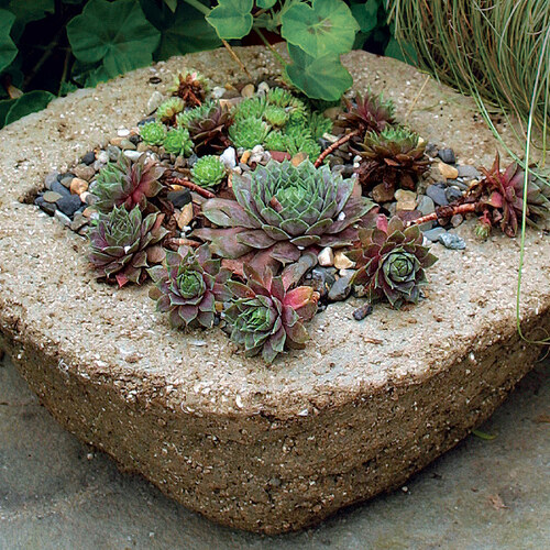 Make Your Own Hypertufa Container - Fine Gardening