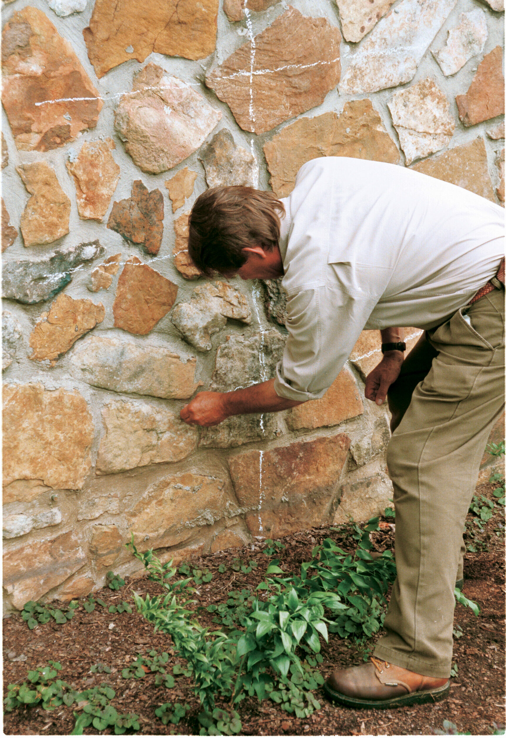 Everything You Need to Know About Espalier - Fine Gardening