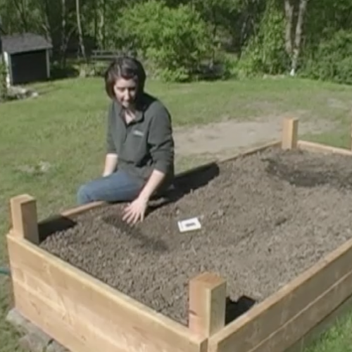 How to Start a Vegetable Garden: Direct-Sowing Vegetable Seeds - Fine ...