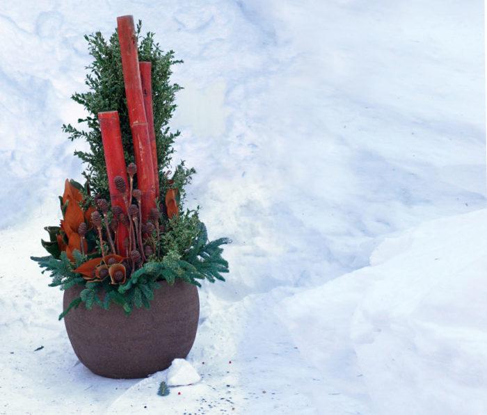 6 Winter Container Ideas - Fine Gardening