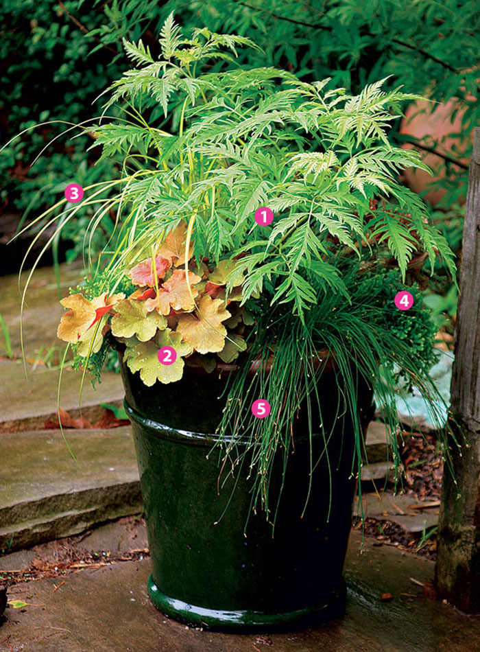 How to Design Great Containers at the Nursery - Fine Gardening