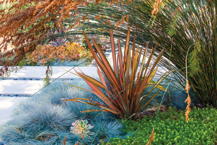 The Power of Balance - Fine Gardening