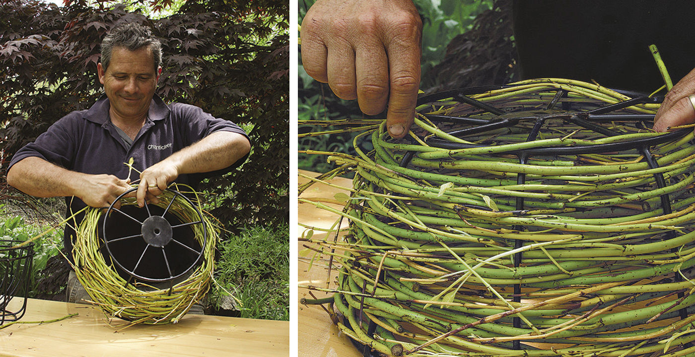 Use Branches to Add Color to a Container - Fine Gardening