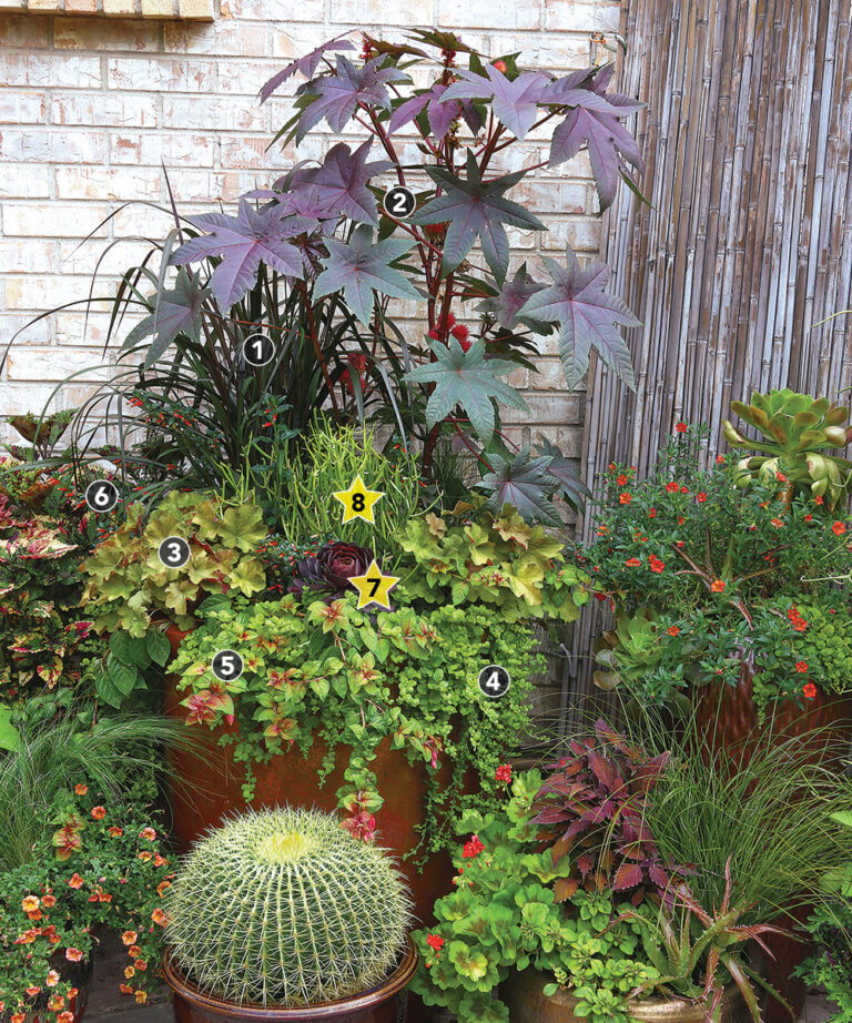 Expert Container Designs: How to Combine Plants with Different Needs ...