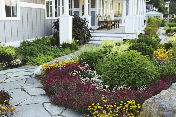 Landscaping With Low-Growing Plants - Fine Gardening
