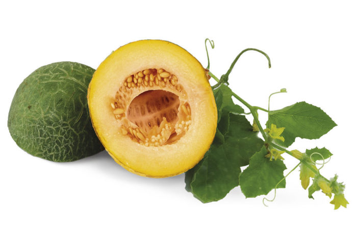 Miniature Fruits and Veggies That Tout Big Flavor - Fine Gardening