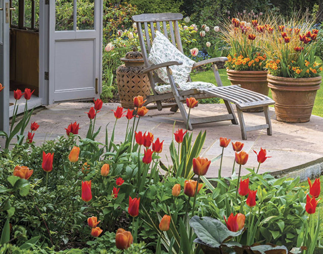 Beautiful Tulip Varieties You Should Grow - Fine Gardening