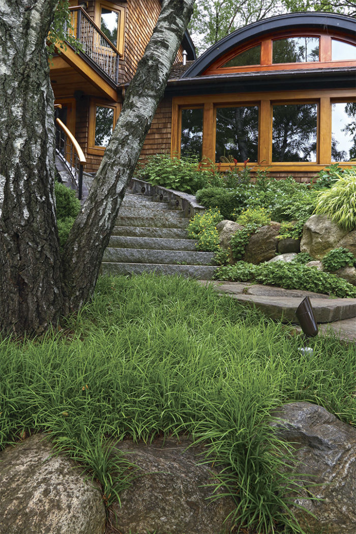 A Gentle Approach to Planting on a Slope - Fine Gardening