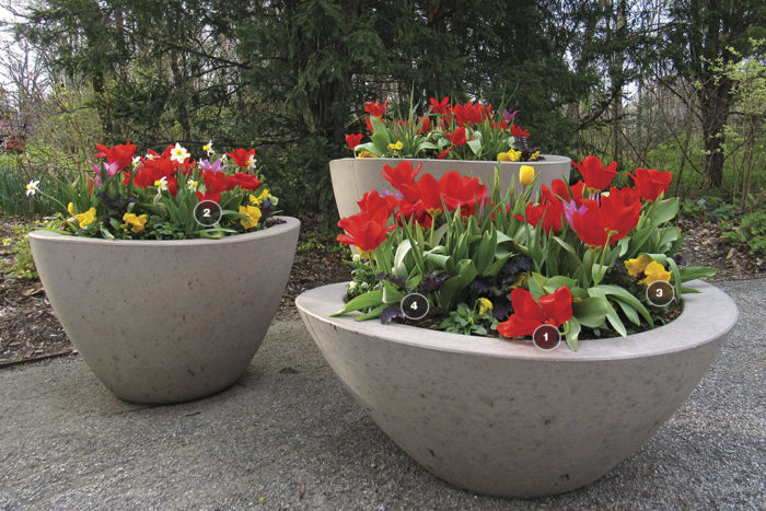 A Bright Idea for Spring Containers - FineGardening