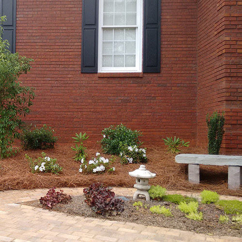 Out With The Boring! - Fine Gardening