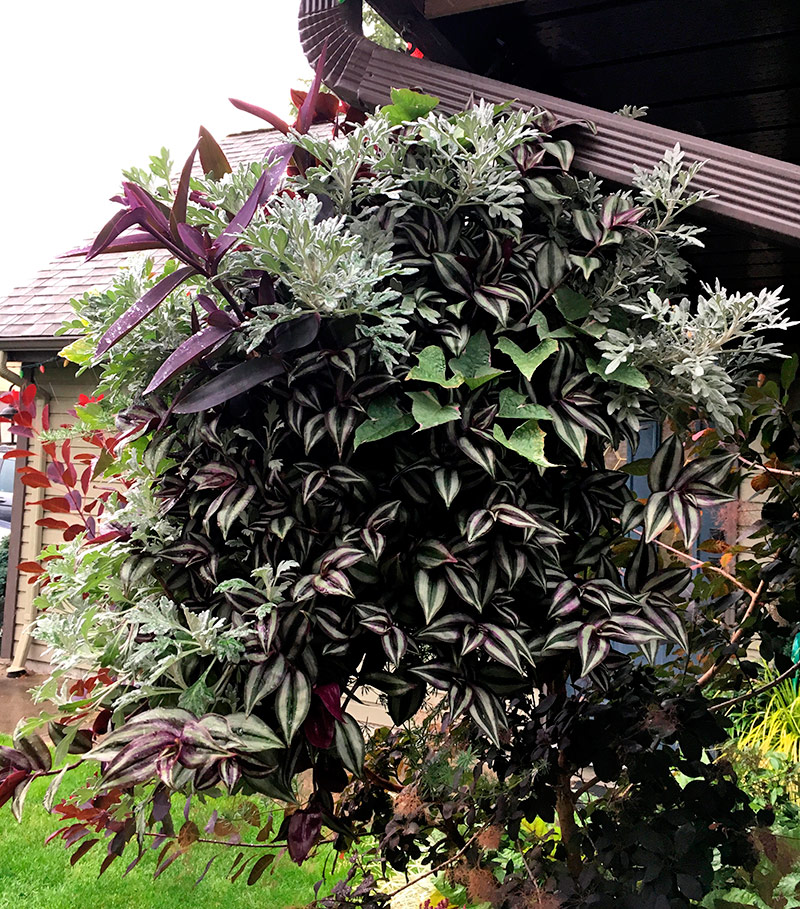 A Garden is Like Fine Wine - Fine Gardening