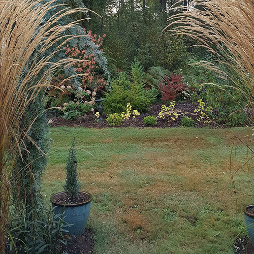 Scenes from a Great Season, Part 1 - Fine Gardening