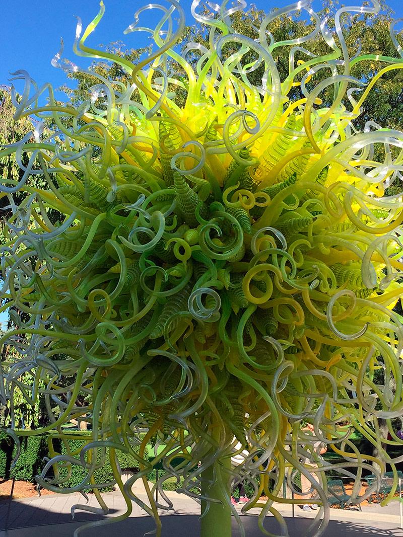 Everyone Loves Chihuly - Fine Gardening