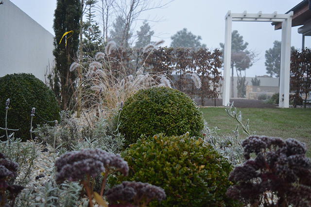 The Beauty and Simplicity of a Provencal Style Garden - Fine Gardening