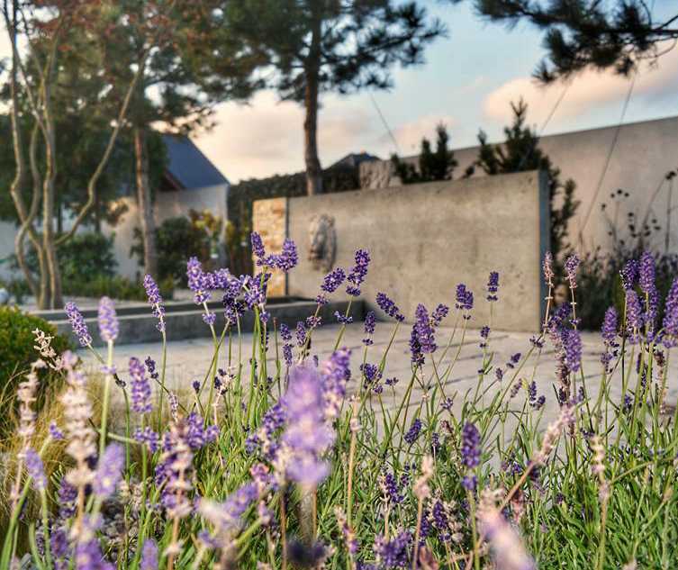 The Beauty and Simplicity of a Provencal Style Garden - Fine Gardening