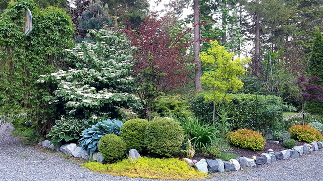 Part 1: Summertime at Winter Spring Gardens - Fine Gardening