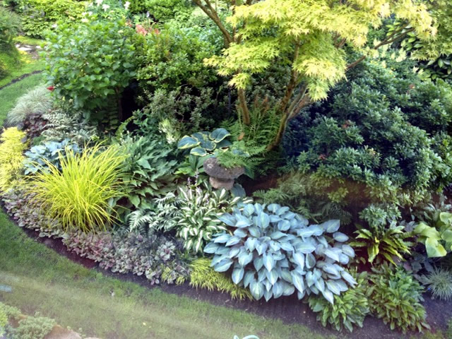 An Aerial Perspective - Fine Gardening