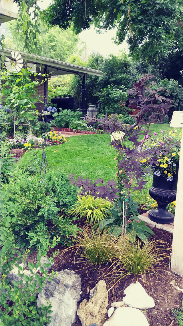 Garden Beauty in Utah - Fine Gardening