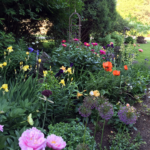 Embracing the Freshness of June - Fine Gardening