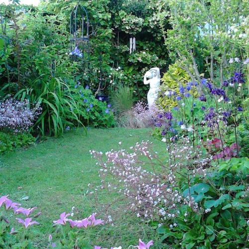 Addicted to Plants! - Fine Gardening
