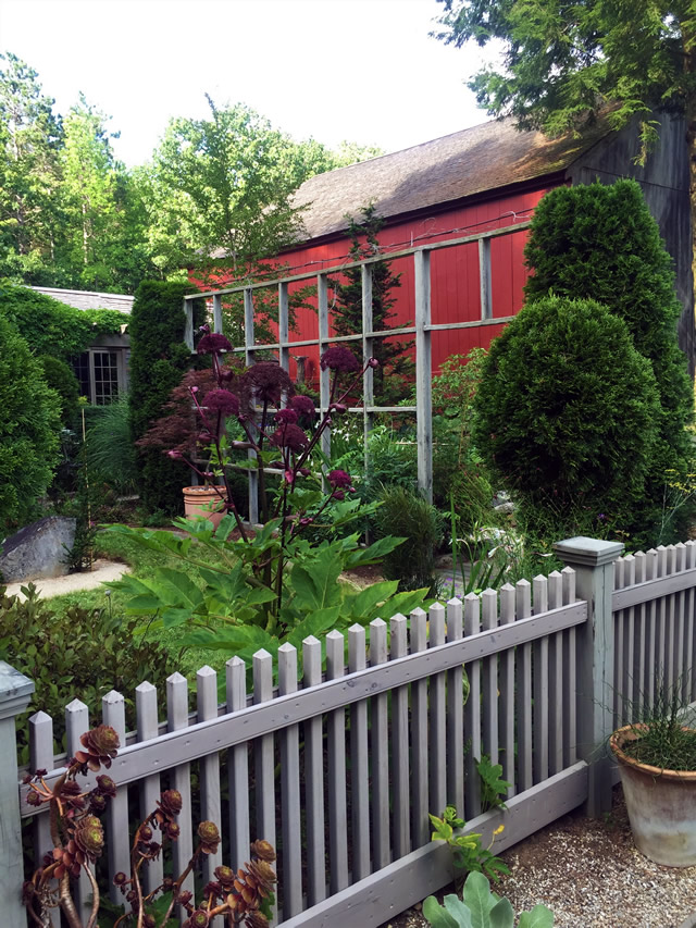 Highlights from Juniper Hill Farm - Fine Gardening