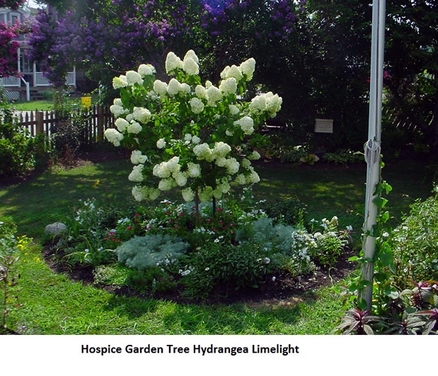 A Special Hospice Garden in MD - Fine Gardening