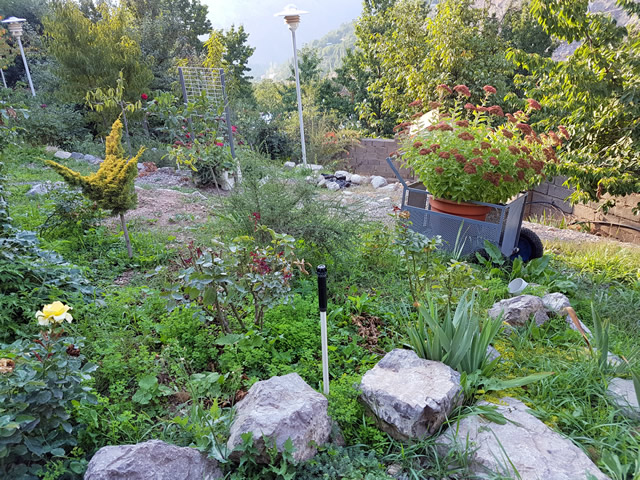 A Journey to Iran - Fine Gardening